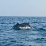 Dolphin Watching and Village Tour 3 Days Experience - Who Should Consider This Tour?