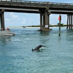 Dolphins and Donuts Boat Trip in Destin - Frequently Asked Questions