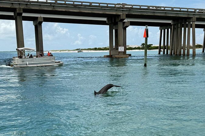 Dolphins and Donuts Boat Trip in Destin - Frequently Asked Questions