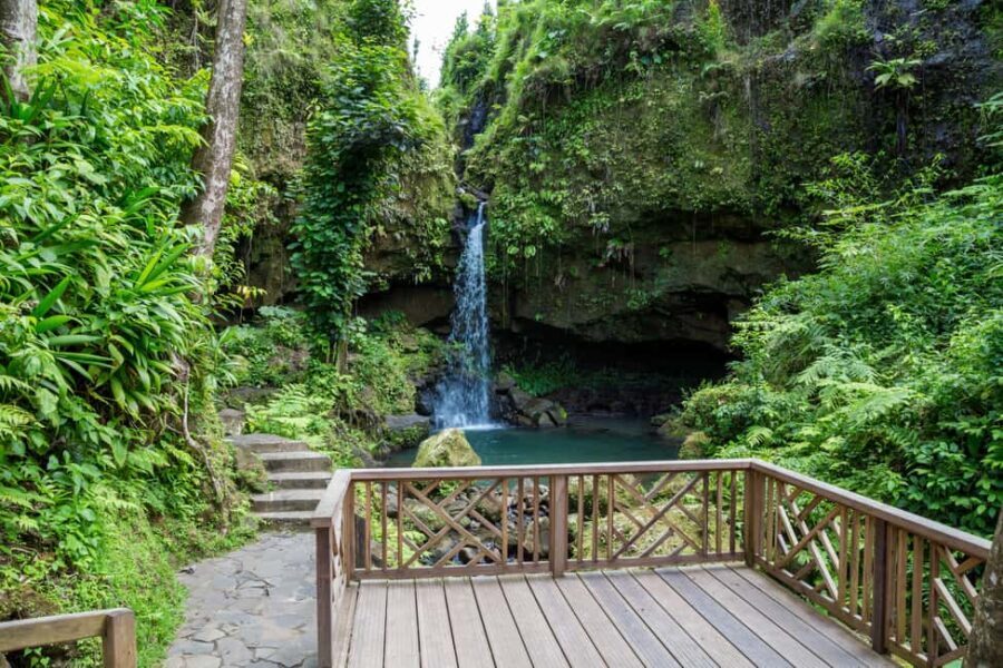 Dominica: Emerald Pool and Mero Beach Shore Excursion - The Itinerary in Detail