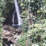Dominica Half-Day Tour: Mero Beach, Waterfalls, Mineral bath Wotten Waven - Practical Details and Considerations