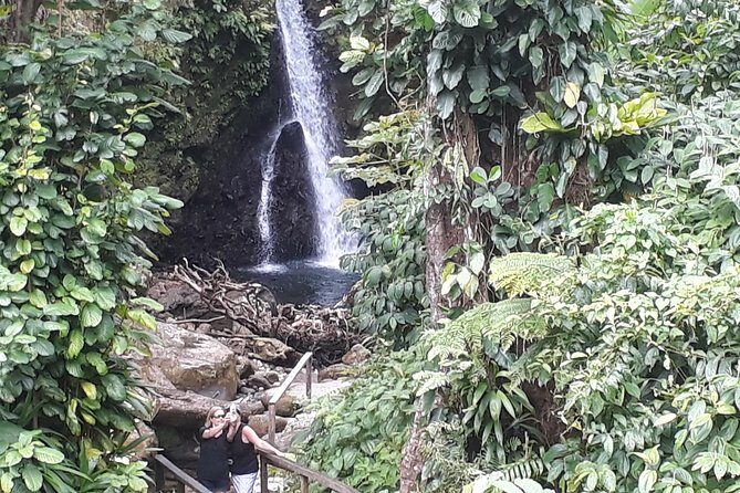 Dominica Half-Day Tour: Mero Beach, Waterfalls, Mineral bath Wotten Waven - Practical Details and Considerations