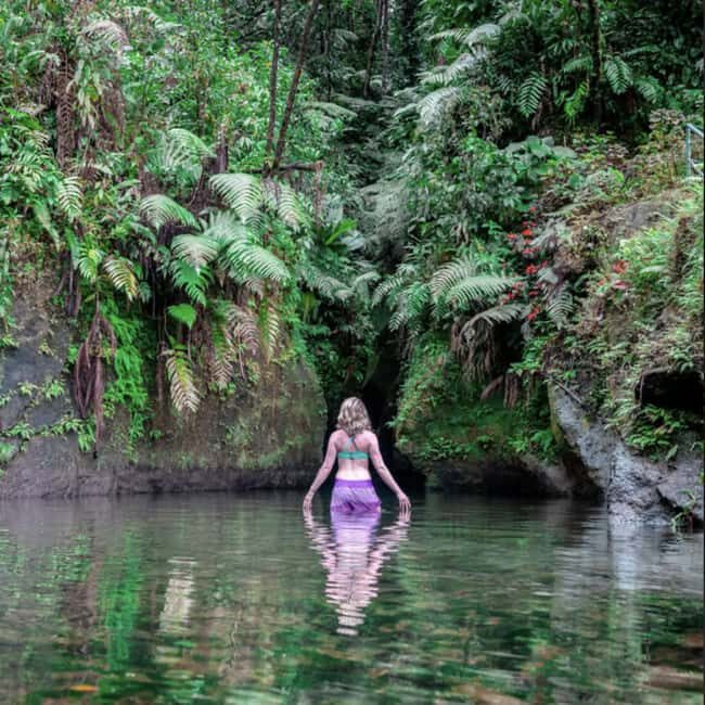 Dominica Hot Springs Waterfalls and Titou Gorge Treasures - The Hot Springs at Wotten Waven