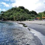 Dominica: Indian River Discovery & Beach Stop Tour - Scenic Drive Along the West Coast
