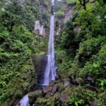 Dominica: Middleham Falls, Titou Gorge, and Trafalgar Falls - Practical Details and Logistics