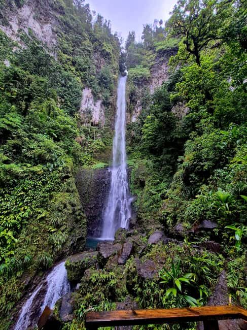 Dominica: Middleham Falls, Titou Gorge, and Trafalgar Falls - Practical Details and Logistics