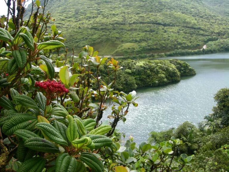 Dominica: Rain Forest Adventure with Waterfall Swim - Final Thoughts: Who Is This Tour Best For?