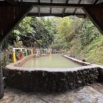Dominica: Titou Gorge and Hot Springs Tour with Transfer - Why Choose This Tour?