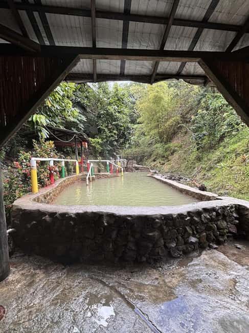 Dominica: Titou Gorge and Hot Springs Tour with Transfer - Why Choose This Tour?