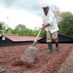 Dominican Republic Cacao Plantation Tour - Final Thoughts
