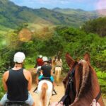 Dominican Roots: Unforgettable Cultural Adventure in Punta Cana - Who Will Enjoy This Tour?