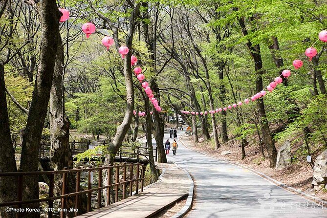 Donghaksa Temple Cherry Blossom and Jeonju Hanok Village - Authentic Experiences and What Travelers Say