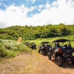 Dos Mares and Rainforest UTV Adventure Tour in Fajardo - The Value of the Tour