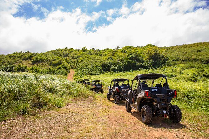 Dos Mares and Rainforest UTV Adventure Tour in Fajardo - The Value of the Tour