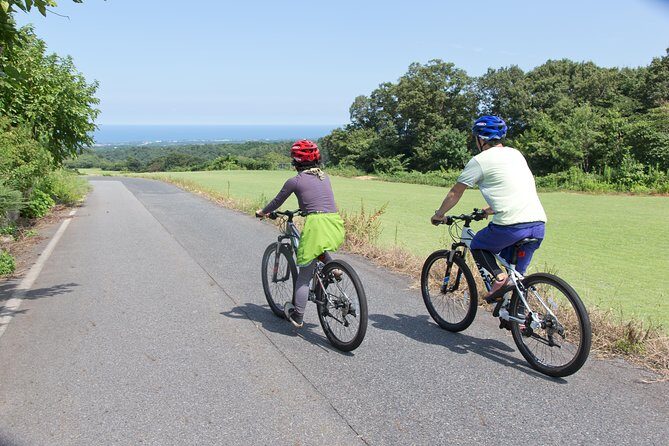 Downhill Biking - The Sum Up: Who Should Consider This Tour?