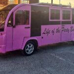 Downtown Houston Shared Karaoke Tour - An In-Depth Look at the Houston Karaoke Tour