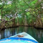 Dreams Flora Resort - Round Trip Shuttle - Punta Cana Airport - The Experience in Detail