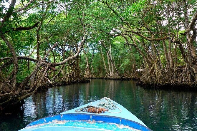 Dreams Flora Resort - Round Trip Shuttle - Punta Cana Airport - The Experience in Detail