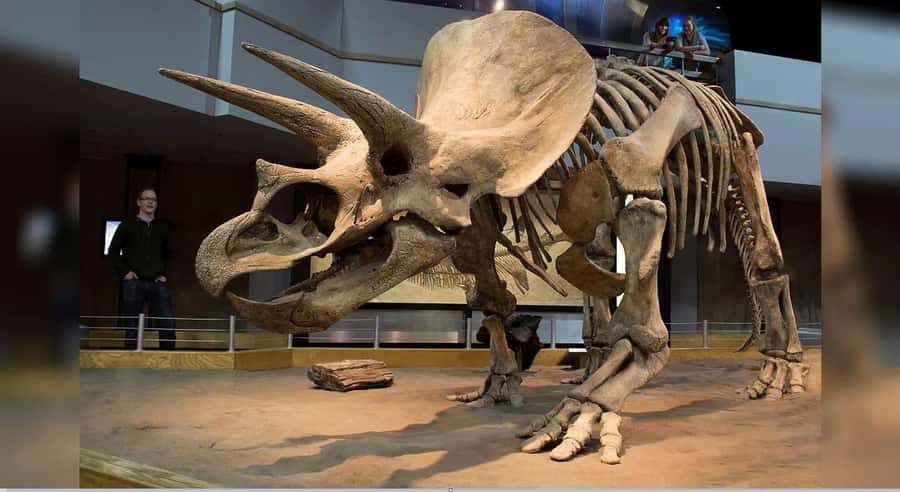 Drumheller Tour: Museum, Hoodoos,Horseshoe Canyon & Lot More - An In-Depth Look at the Drumheller Tour