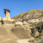 Drumheller Tour Royal Tyrell Museum Shared Tour - Value and Price: Is it worth it?