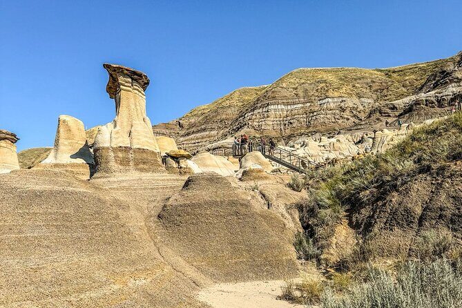 Drumheller Tour Royal Tyrell Museum Shared Tour - Value and Price: Is it worth it?