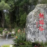 Dujiangyan: Panda Valley Ticket - How the Tour is Organized and What to Expect