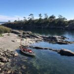Duncan, BC: Salish Sea Bioluminescence Rowing Tour - Practical Details & Tips