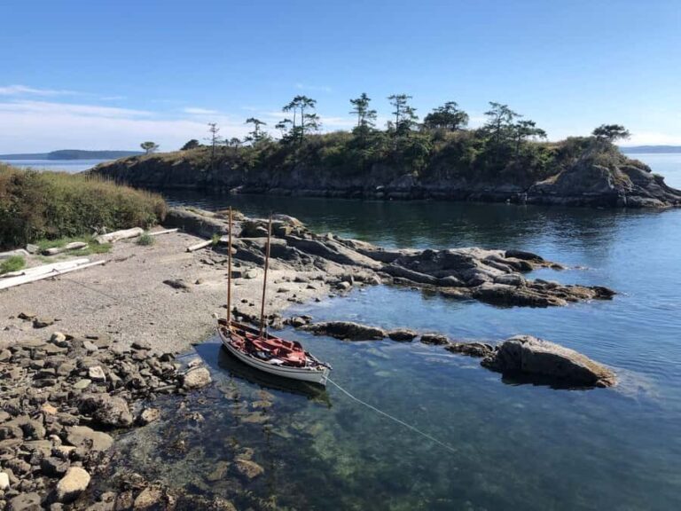 Duncan, BC: Salish Sea Bioluminescence Rowing Tour - Practical Details & Tips