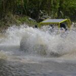 Dune Buggies Adventure - Authentic Experiences Backed by Traveler Feedback