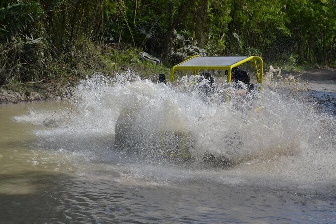 Dune Buggies Adventure - Authentic Experiences Backed by Traveler Feedback
