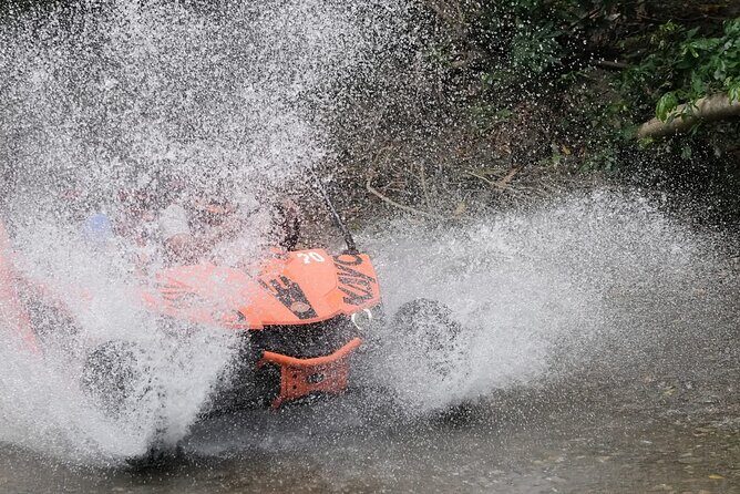 Dune Buggy Adventure in Puerto Plata  Mud, Rivers & Jungle Fun - Who Will Love This Tour?