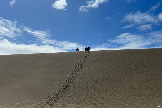 Dunes Snorkeling Tour Outside Santo Domingo - Authentic Feedback from Travelers