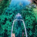 Dunnellon: Rainbow Springs Clear Kayak Guided Tour - What You’ll Experience on the Water