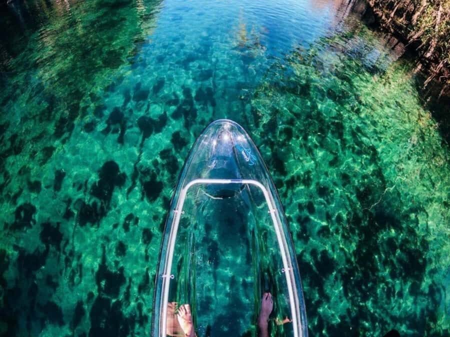 Dunnellon: Rainbow Springs Clear Kayak Guided Tour - What You’ll Experience on the Water