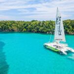 Dunn's River Catamaran Cruise From Ocho Rios - Practical Tips for Travelers