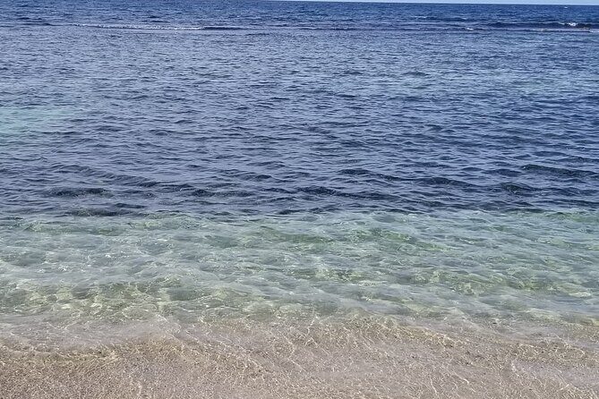 Dunn's River Falls and Blue Hole Combo Tour From Ocho Rios & Runaway Bay - Who Should Consider This Tour?