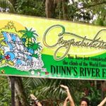 Dunn's River Falls and Bob Marley Mausoleum - Who Should Consider This Tour?
