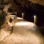 Dunn's River Falls and Green Grotto Cave Combo Daytrip - Who Will Love This Tour