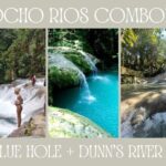 Dunn's River Falls & Blue Hole from Montego Bay or Falmouth - The Sum Up: Who Is This Tour Best For?