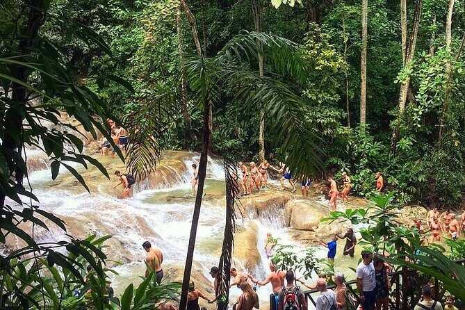Dunn's River Falls & Blue Hole Tour from Montego Bay - What to Expect on the Day