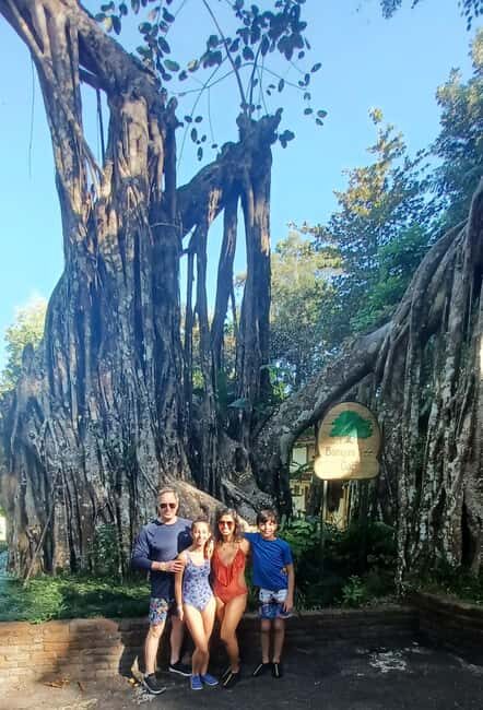 Dunns River Falls From Ocho Rios - The Logistics and Practical Details