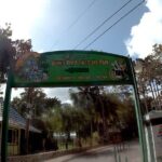 Dunns River Falls Park and Beach - Why This Tour Offers Good Value