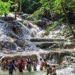 Dunns River Falls plus River Tubing Adventure on the Rio Bueno Private Tour - Who Would Love This Tour?
