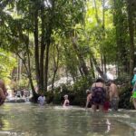Dunns River Falls Private Day Tour - What Reviewers Say