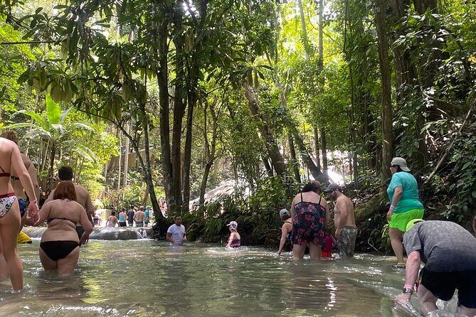 Dunns River Falls Private Day Tour - What Reviewers Say