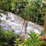 Dunn's River Falls Private Tour - Exploring Dunn’s River Falls: An Iconic Jamaican Experience