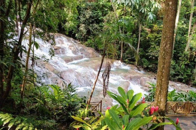Dunn's River Falls Private Tour - Exploring Dunn’s River Falls: An Iconic Jamaican Experience
