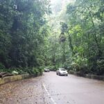 Dunns River Falls Scenic Tour - Who Would Love This Tour?