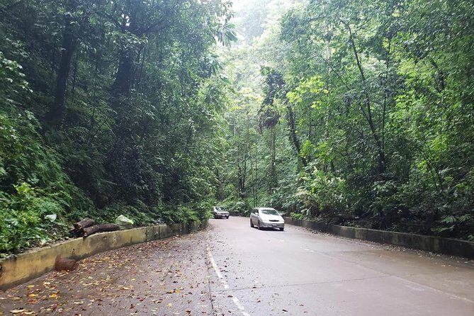 Dunns River Falls Scenic Tour - Who Would Love This Tour?