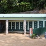 Dunn's River Falls Tour - Is It Worth the Price?